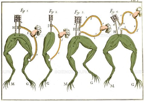 Blog 5: Galvanische scheiding, van spartelende kikkerpoten tot ...